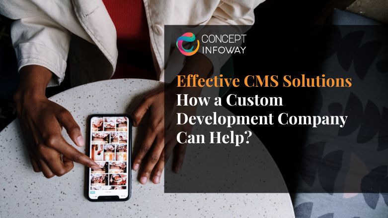 Custom CRM Development for SMEs - Your Ultimate Guide
