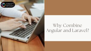 Angular Development Company: The Perfect Laravel Partner